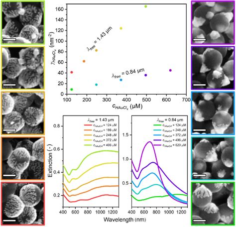 Effect Of Gold Concentration And Free Diffusion Length L Free On The
