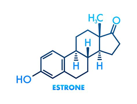 Estrone Formula Estrogens Vector Chemical Formulas 29895057 Vector