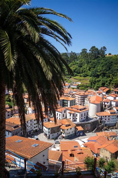 Cudillero Fishing Village And Palm Tree Asturias Spain Stock Photo