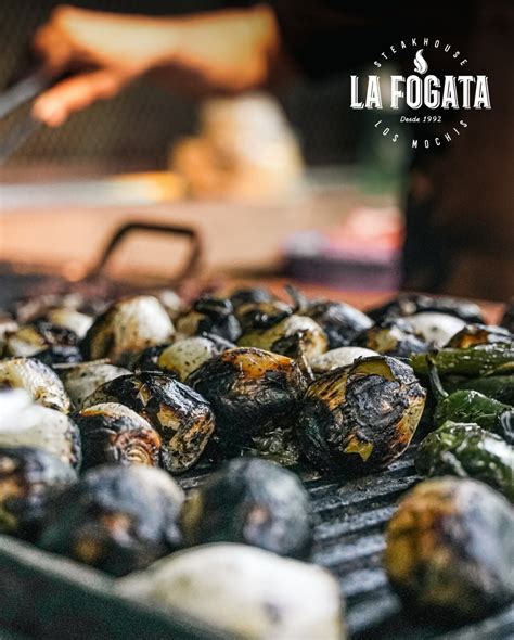 Tacos La Fogata Los Mochis