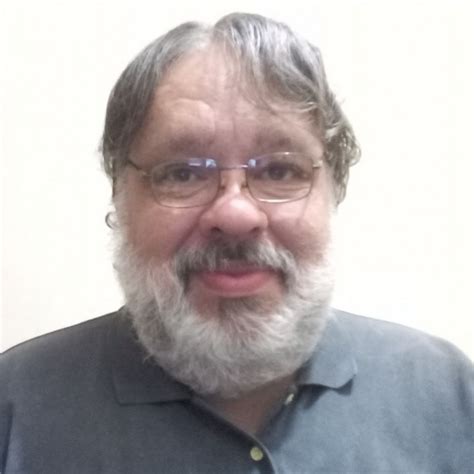 Vini Sette Celebridades Wiki Fandom