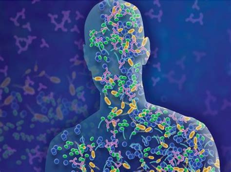 Discover The New Real Fecal Microbiome Kit Durviz