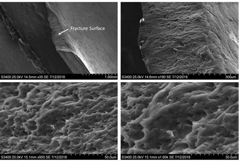 4 Scanning Electron Microscope Fractographs At Various Magnifications