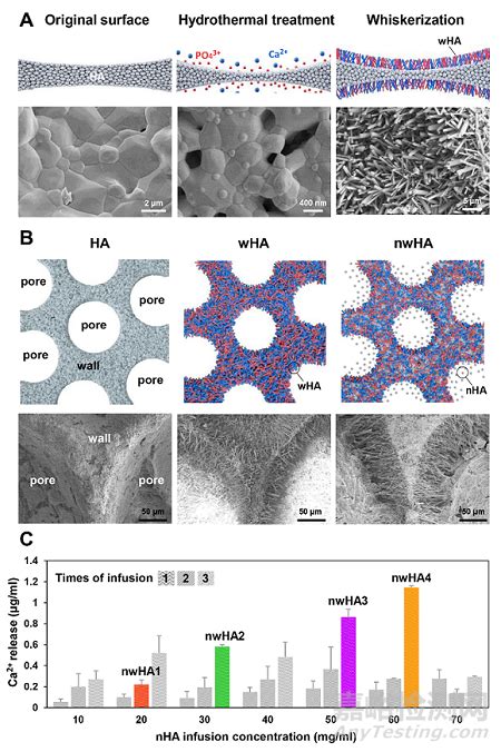 微纳米结构羟基磷灰石生物陶瓷修复骨质疏松骨缺损检测资讯嘉峪检测网
