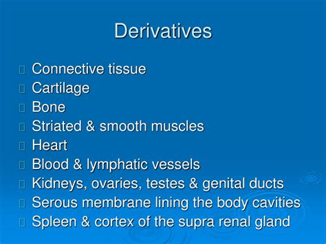 Ppt Mesodermal Derivatives Development An Overview Powerpoint