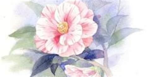 宜都代开地税发票 Imgur