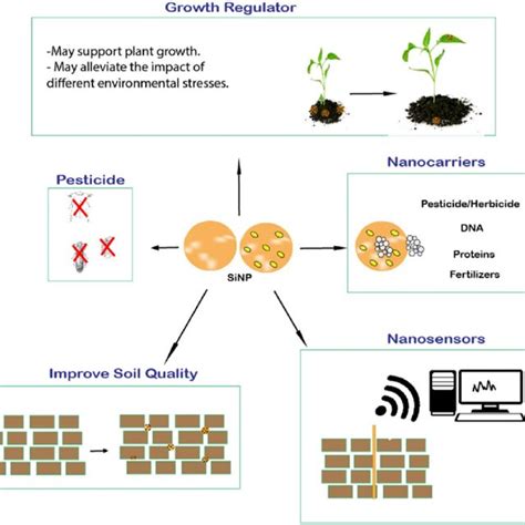 Pdf Application Of Silicon Nanoparticles In Agriculture