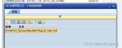 Abap Bapiaccdocumentpost 中 Extension1的用法bapi Extension Csdn博客