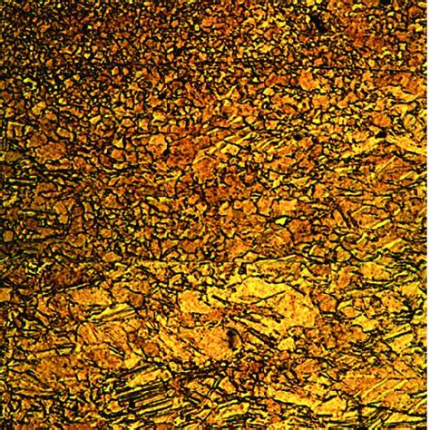 Grain Structure In The Region Near The Bottom Of A Sample Processed By