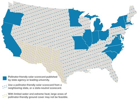 Pollinator Friendly Solar Scorecards Fresh Energy