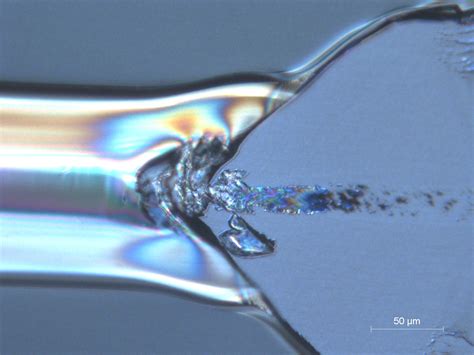 Atdprediction Object Detection Dataset And Pre Trained Model By Lgp