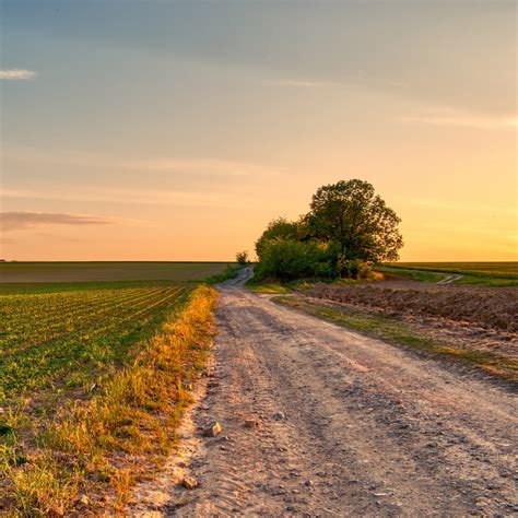 600 Free Dirt Fields And Dirt Road Images Pixabay