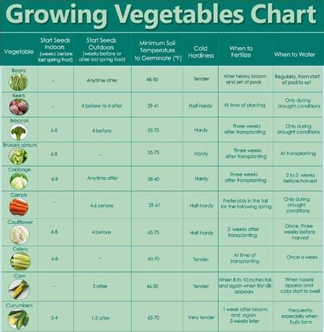 Growing Vegetables Chart Growing Vegetables Vegetable Chart Garden Planning