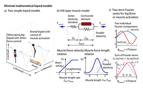 Minimal Mathematical Biped Models A Two Simple Biped Models Were