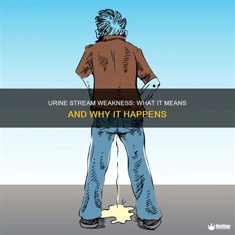 Urine Stream Weakness What It Means And Why It Happens Medshun