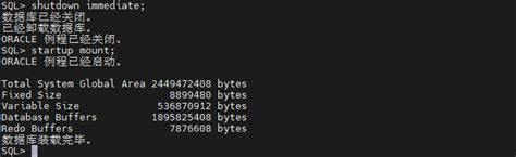 oracle19c adg搭建 oracle 19c adg搭建详细步骤 csdn博客