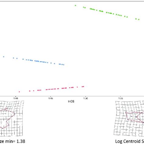 Allometric Trajectories For The Three Population Of Pallass Squirrels
