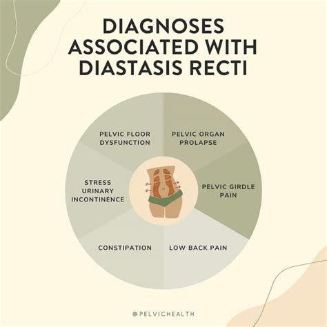 Diastasis Recti Causes And Treatment