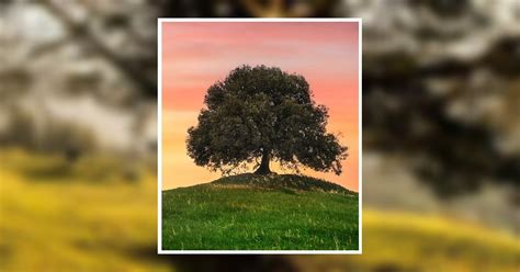 Roger Douglas Mccaslin Obituary February 27 2025 Hales Funeral Homes