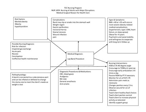 Concept Maps Nursing Templates
