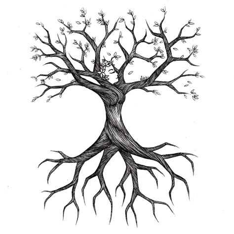 Tree With Roots Clipart Outline 19 Free Cliparts Download Images On