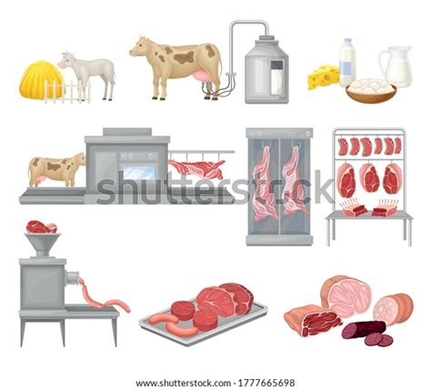 147 Carcass Corn Royalty Free Photos And Stock Images Shutterstock