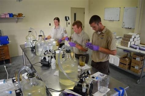 St Joseph River System Edna Carp Testing All Outdoors Update