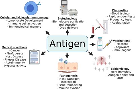 Varied Contexts In Which The Term Antigen Is Used Download Scientific Diagram