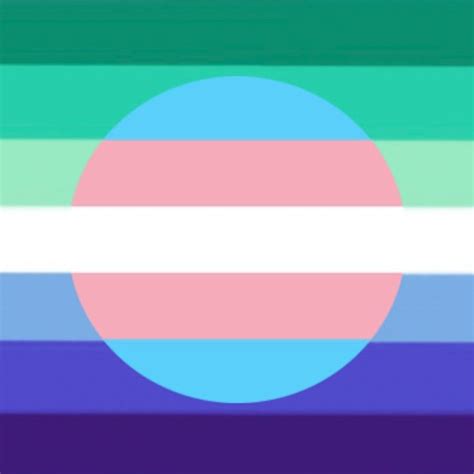 Pride Flag Pfp Base Pride Flags Trans Pride Flag Gay Pride Flag