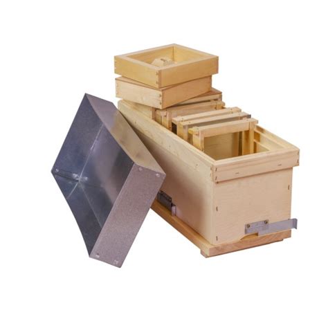 Modular Frame 3x12 Dadant Hoffman Ss6655i