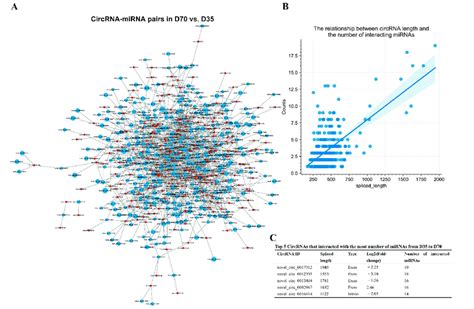 Prediction Of Putative Circrna Mirna Interaction Pairs From D35 To D70