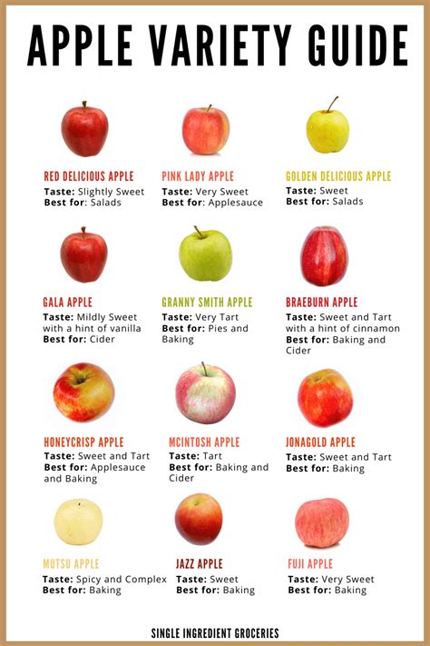 Apple Varieties Chart Apple Varieties Chart Gszacr