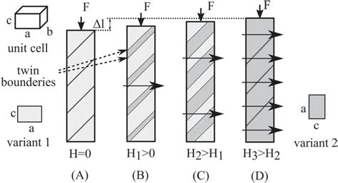 explanation of magnetic shape memory effect reproduced from [1] with