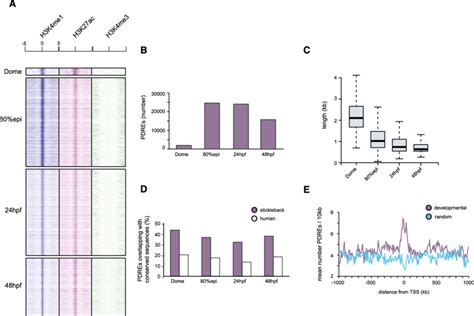 Characteristics Of Identified Putative Distal Regulatory Elements A