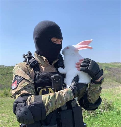715 team обои