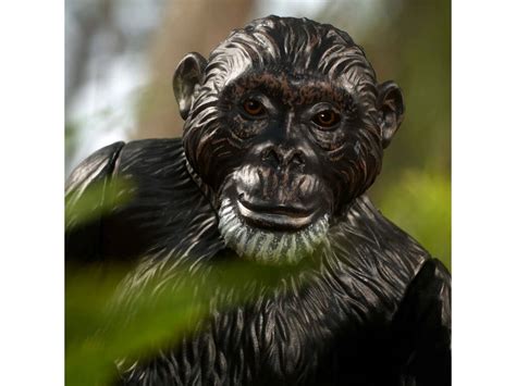 Barbie Signature Jane Goodall Mattel Hcb82 Juguetilandia