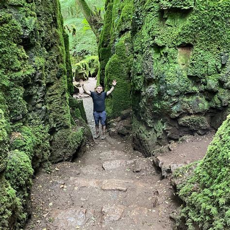 The Bio Forge Youtube