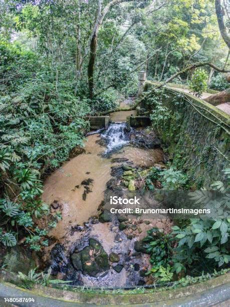 Air Terjun Kecil Di Taman Nasional Tijuca Di Rio De Janeiro Foto Stok Unduh Gambar Sekarang