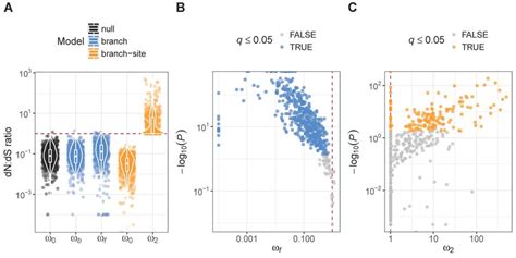 Ratios Of Non Synonymous Vs Synonymous Nucleotide Substitution Rates Download Scientific