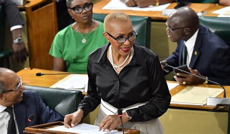 Budgetdebate2025 Williams Outlines How 2025 26 Budget Will Be Funded Jamaica Observer