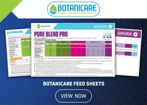 Nutrients Feeding Schedules