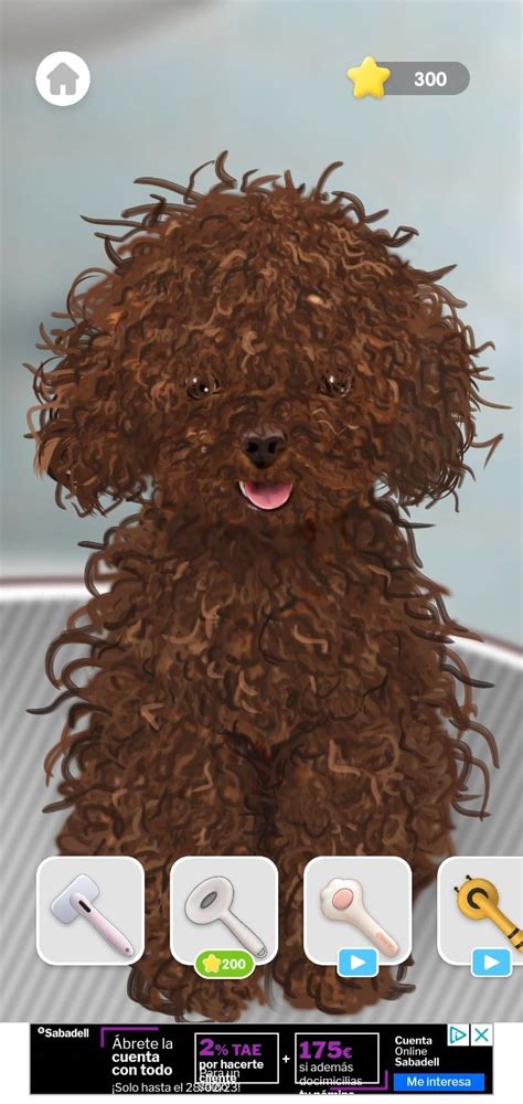 Asmr Salon Apk Download For Android Free