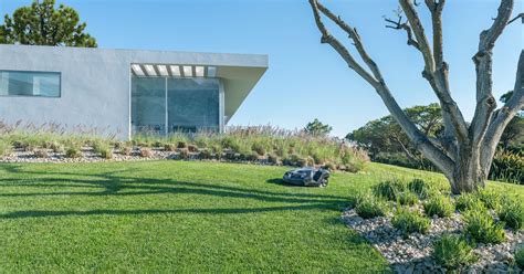 Why Is My Lawn Patchy Troubleshooting Common Lawn Problems