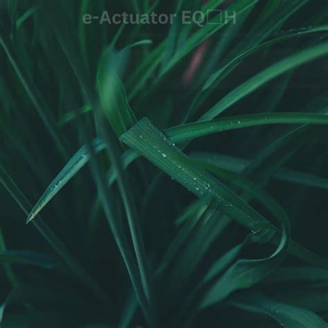 Ole Mathiesen Posted On Linkedin