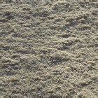 Frost Covered Grass Free Backgrounds And Textures