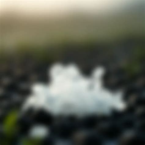 Exploring The Properties And Applications Of Silicic Acid