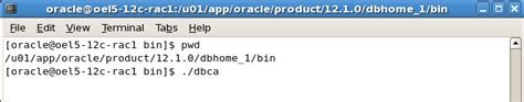 Trace Of Thinking Path Oracle 12c Rac Install 3 Of 3 Create 12c Rac Database Using Dbca
