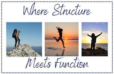 Moa 113th Annual Convention 2024 Where Structure Meets Function On