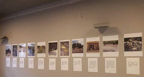 Exposición Fotográfica “el Aprehensor De Inverosimilitudes” De Diego Vadillo López En La