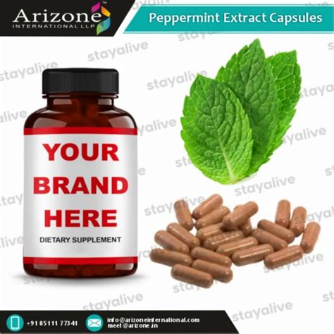 Natural Peppermint Extract Capsules At ₹ 450 Kg Nutraceuticals In Daman Id 2853258211891